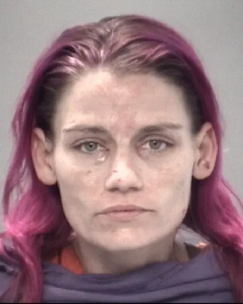 November 10, 2025 - Pascocountyarrests.com